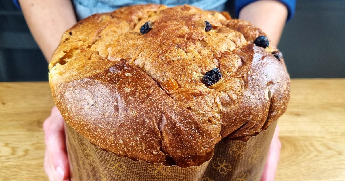 Homemade Panettone - Simplified Recipe with Amazing Results Recipe ...