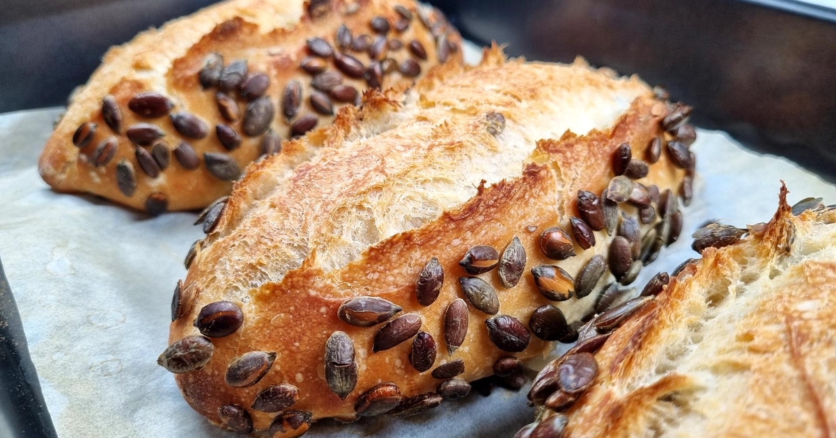 Pumpkin Seed Bread Rolls - Crispy & Therapeutic Recipe | Food Language